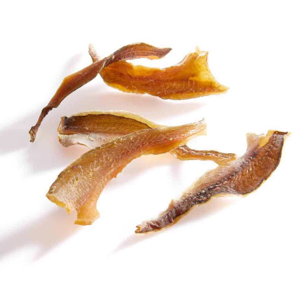 Hoki Fish Fillets 100 g – Gourmet Pet Food Australia